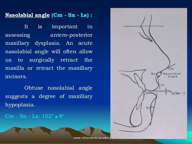 Surgical orthodontics / oral surgery courses