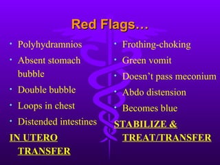 SURGICAL EMERGENCIES IN THE NEONATE.ppt