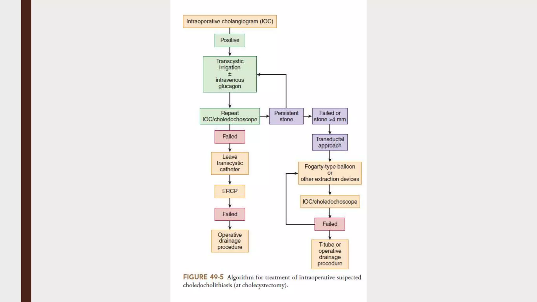 SURGICAL EXPLORATION OF THE COMMON BILE DUCT.pptx