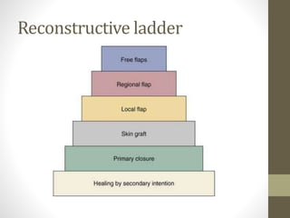 Surgical flaps | PPTX | Skin and Dermatology | Diseases and Conditions