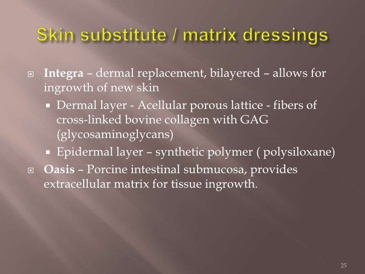 Surgical Grafts for Skin, Tendon, and Bone Healing