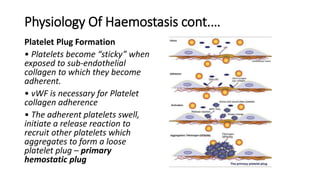 surgical haemostasis olofin.pptx