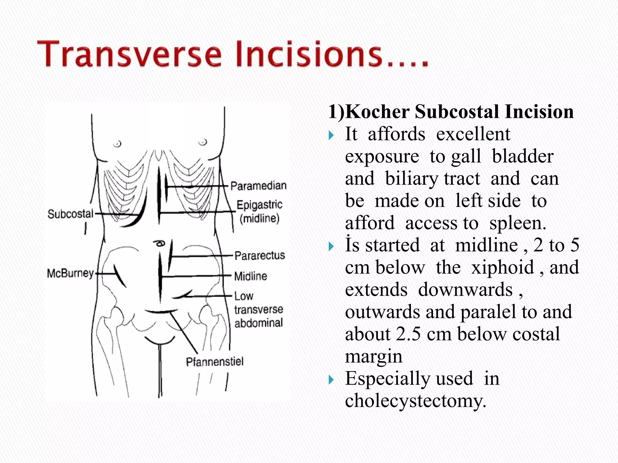 Surgicalincisions 150519180458-lva1-app6892 | PPT