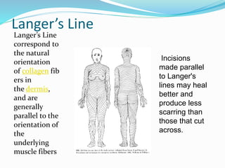 skin incisions | PPT