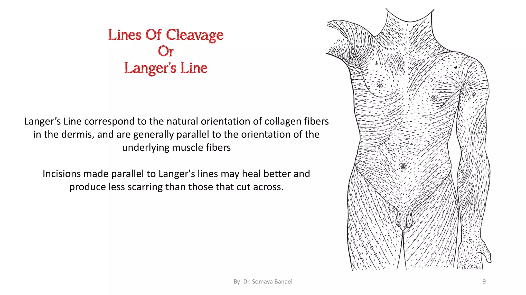 Surgical incisions | PDF