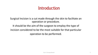 Surgical incisions | PDF