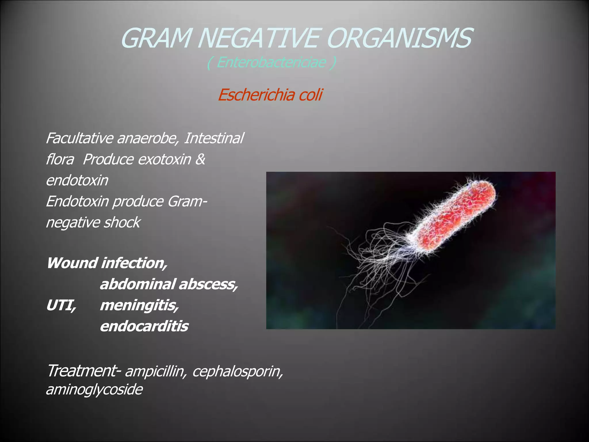 Surgical Infections Pptx