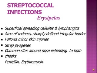 Surgicalinfections1 drneerajjain with audio | PPTX