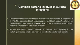 Surgical infections and Principles of antimicrobial therapy.pptx