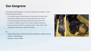 Surgical infections part B.pdf