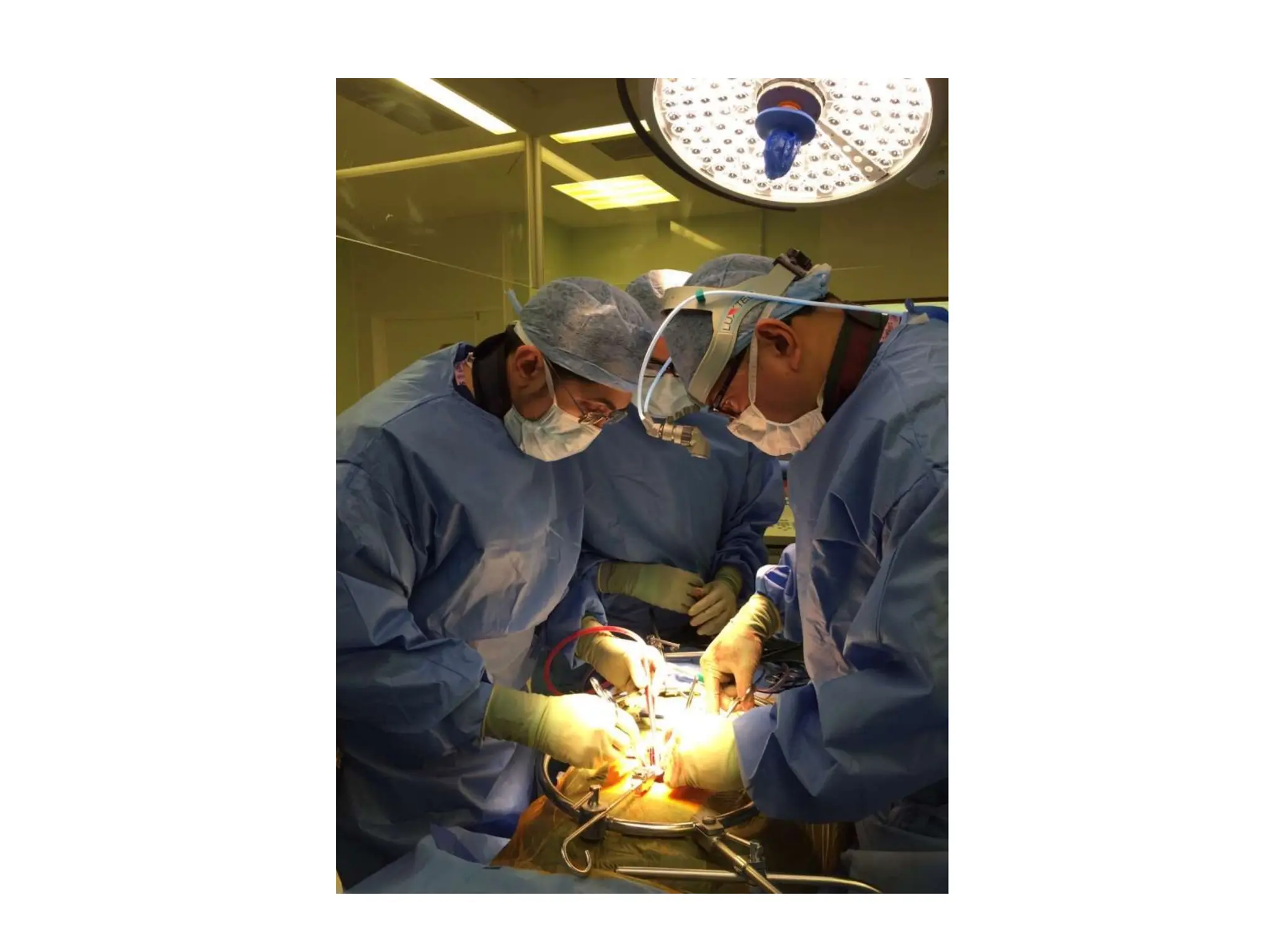SURGICAL INSTRUMENT HANDLING in ORTHOPAEDIC | PPTX