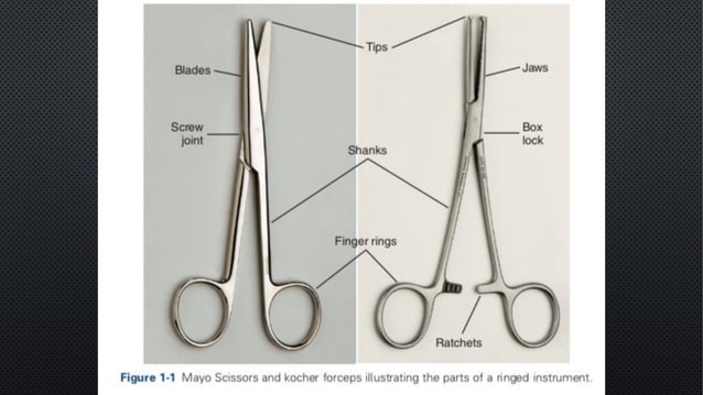 surgical instruments Top 100 surgical instruments with their names ...