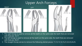 Surgical Instruments instrumental Quirúrgico | PPTX