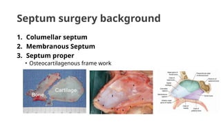 Surgical Interventions for nasal septum and turbinates abha2.pptx