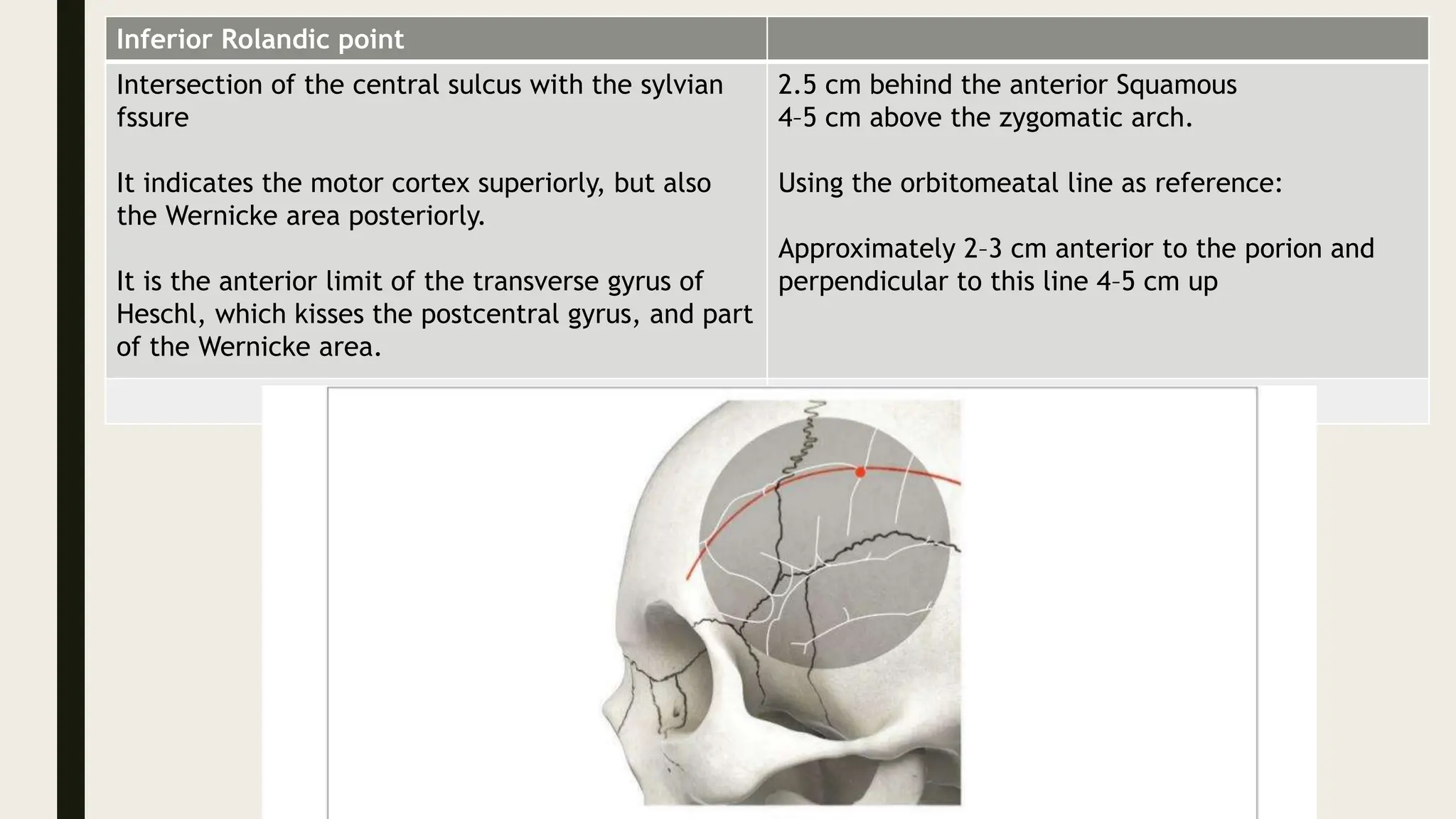 Surgical landmarks of Brain and its identification on Cranium | PPT