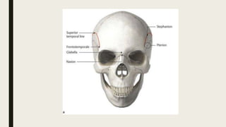 Surgical landmarks of Brain and its identification on Cranium | PPTX