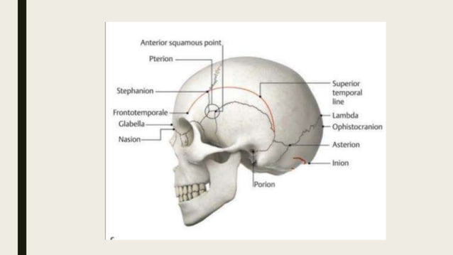 Surgical landmarks of Brain and its identification on Cranium | PPT
