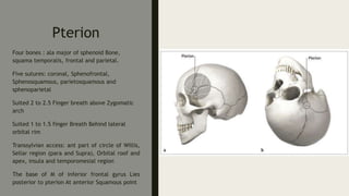Surgical landmarks of Brain and its identification on Cranium | PPTX