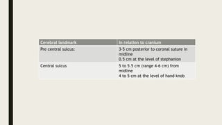 Surgical landmarks of Brain and its identification on Cranium | PPTX