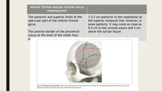 Surgical landmarks of Brain and its identification on Cranium | PPTX