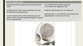 Surgical landmarks of Brain and its identification on Cranium | PPTX