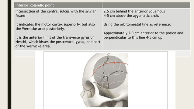 Surgical landmarks of Brain and its identification on Cranium | PPT