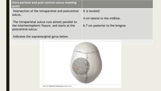Surgical landmarks of Brain and its identification on Cranium | PPTX