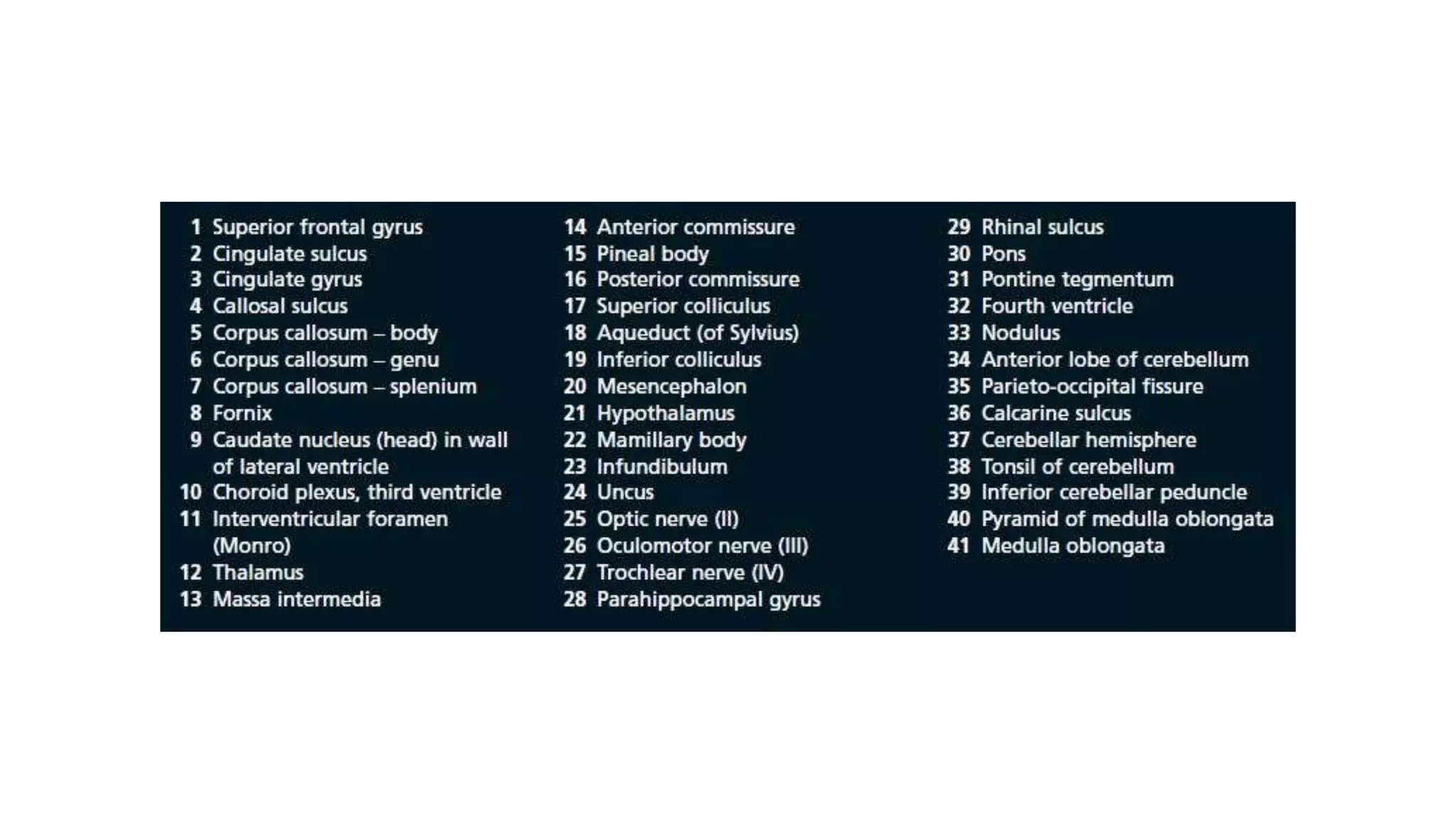 Surgical landmarks and sectional anatomy in neurosurgery | PPTX