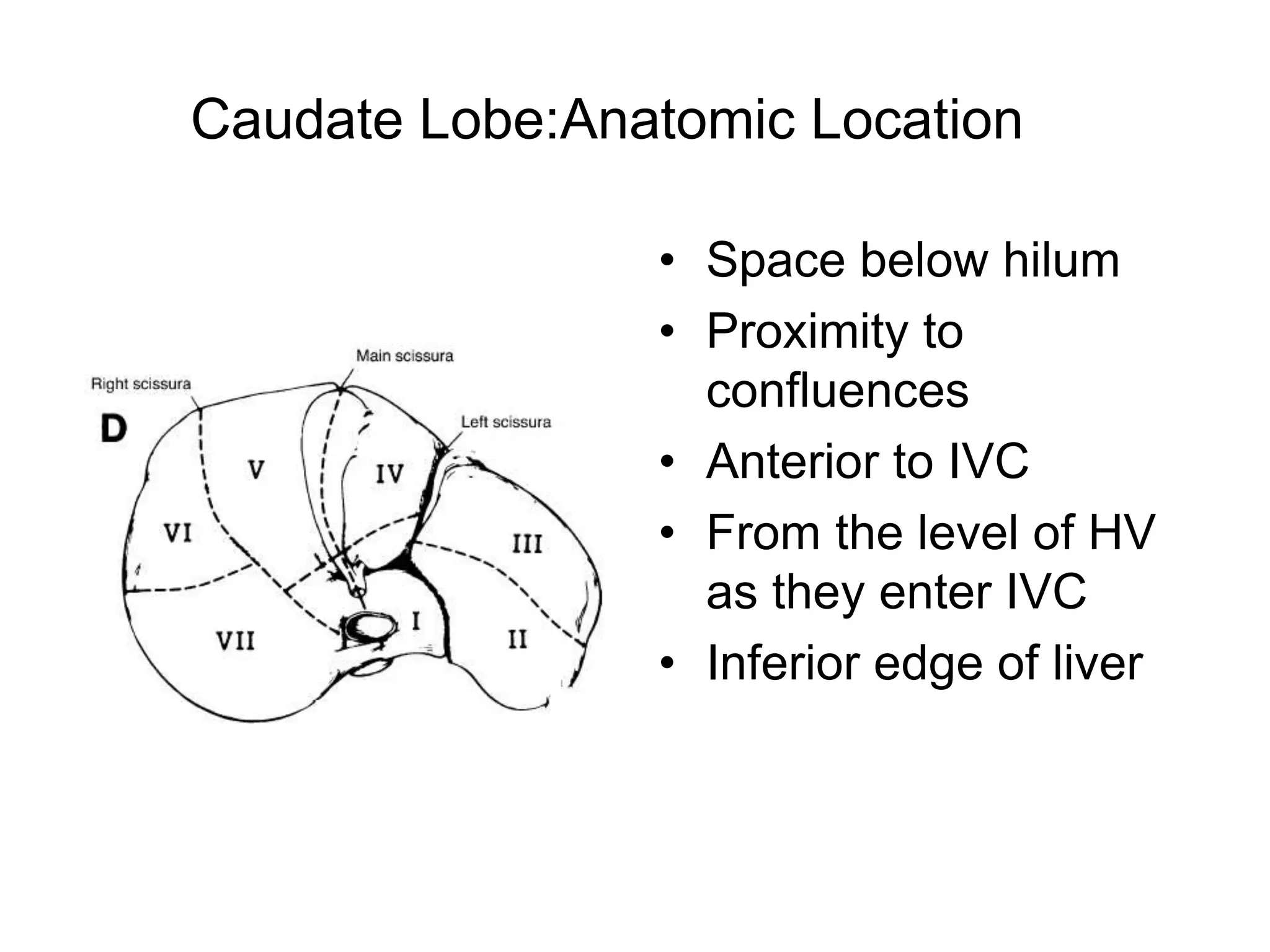 Surgical liver anatomy | PPT