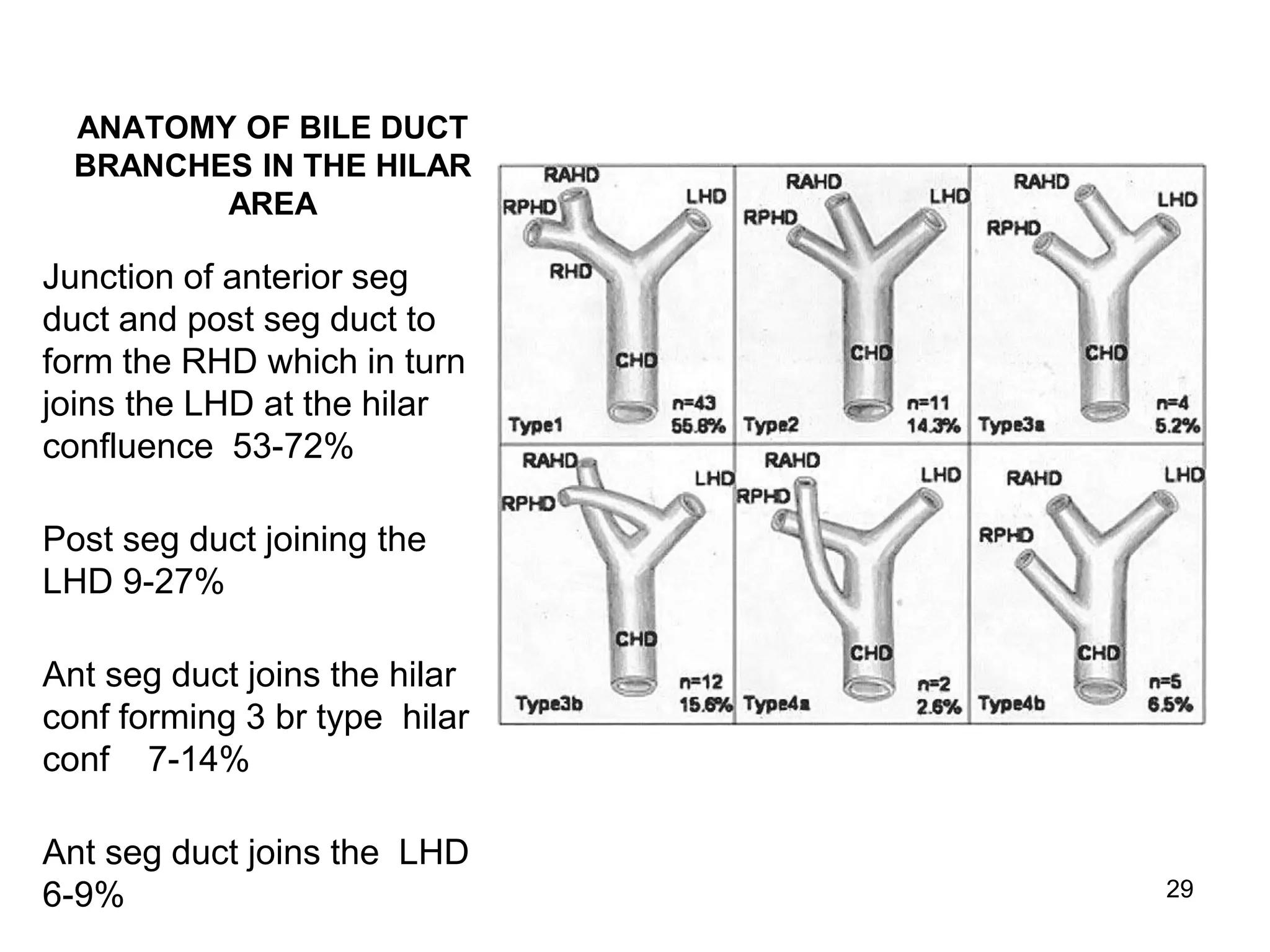 Surgical liver anatomy | PPT
