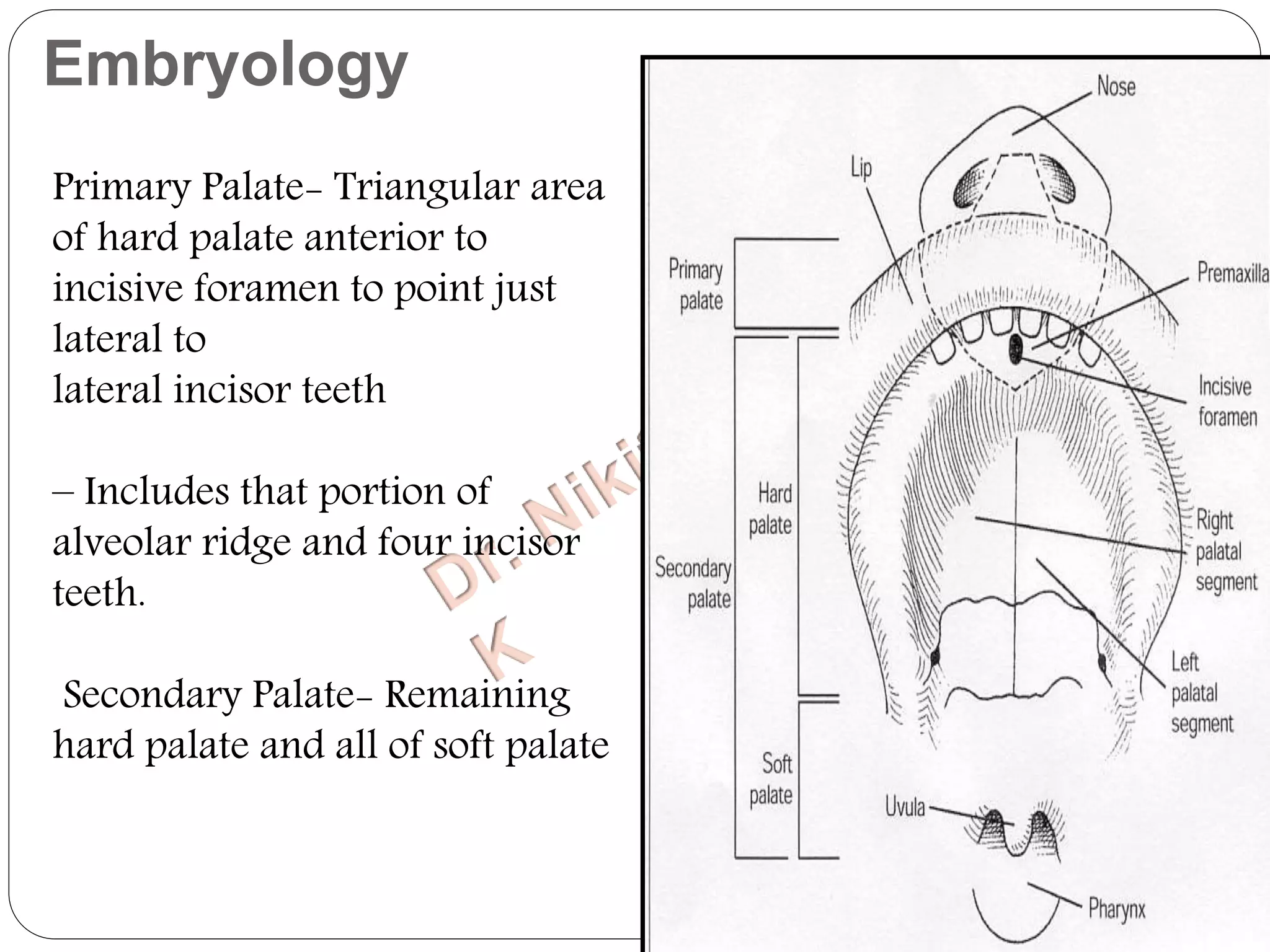 Surgical management cleft lip and palate | PPTX
