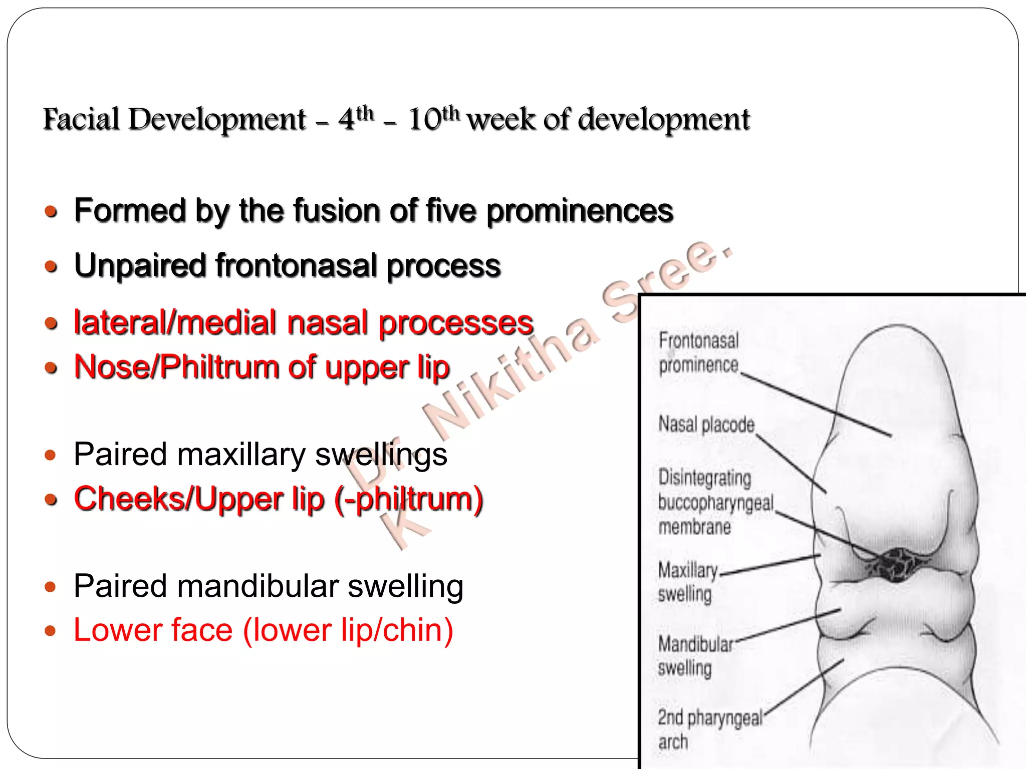 Surgical management cleft lip and palate | PPTX