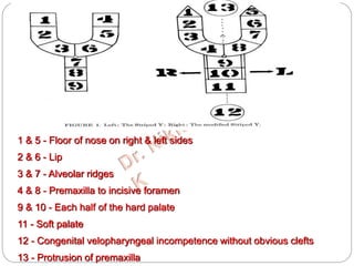 Surgical management cleft lip and palate | PPTX