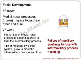 Surgical management cleft lip and palate | PPTX