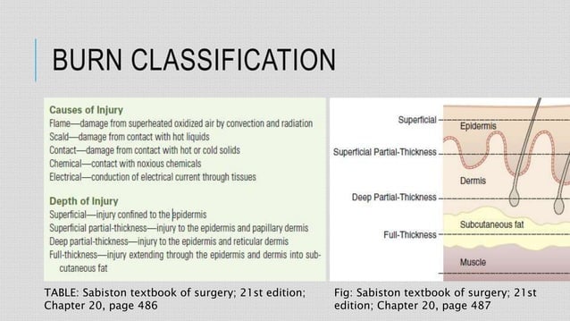 SURGICAL MANAGEMENTOF BURN patient VICTIM.pptx