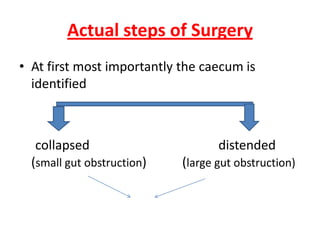 Surgical management of intestinal obstruction Shinjan Patra Medical ...