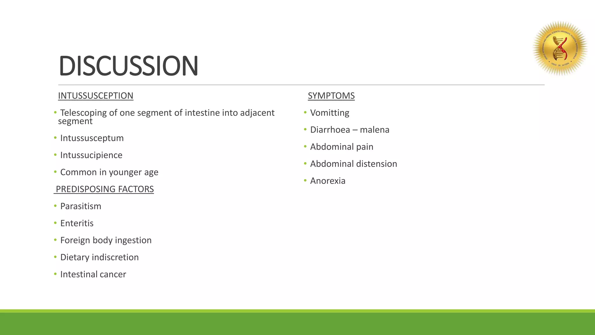 Surgical management of intussusception in a German Shepherd | PPTX