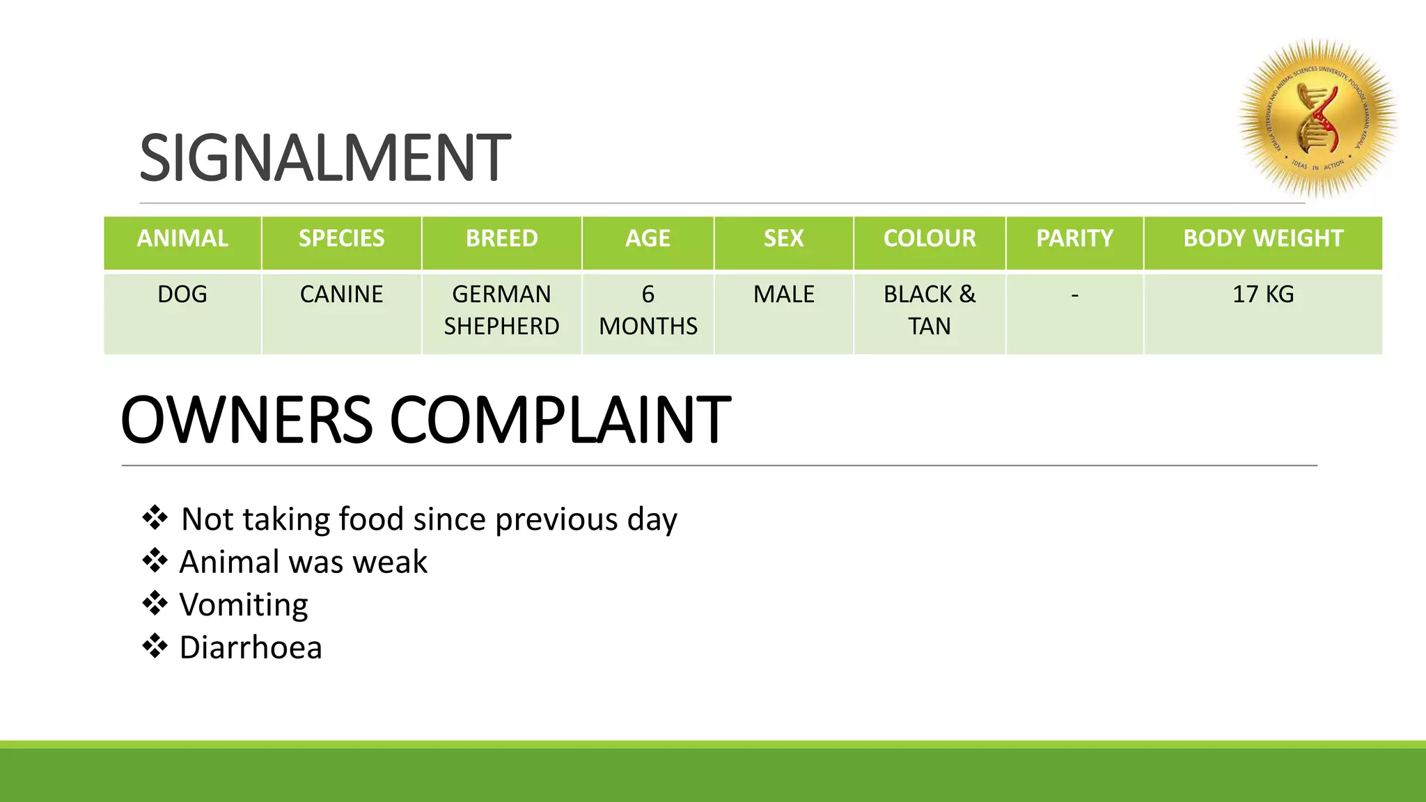 Surgical management of intussusception in a German Shepherd | PPTX