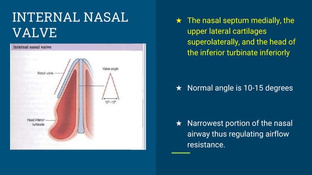 Surgical Management of Nasal Valve Insufficiency .pptx