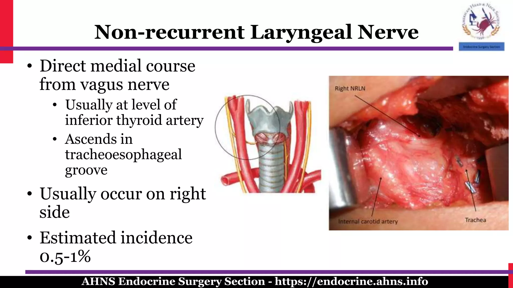 Surgical management of the recurrent laryngeal nerve in thyroidectomy ...