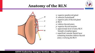 Surgical management of the recurrent laryngeal nerve in thyroidectomy ...