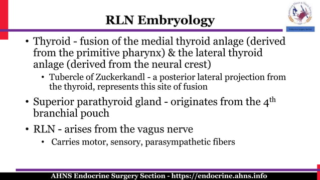 Surgical management of the recurrent laryngeal nerve in thyroidectomy ...