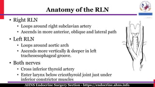 Surgical management of the recurrent laryngeal nerve in thyroidectomy ...