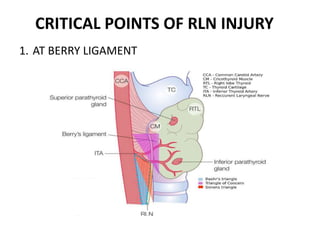 SURGICAL MANAGEMENT OF THYROID SWELLING AND COMPLICATION OF (5).pptx