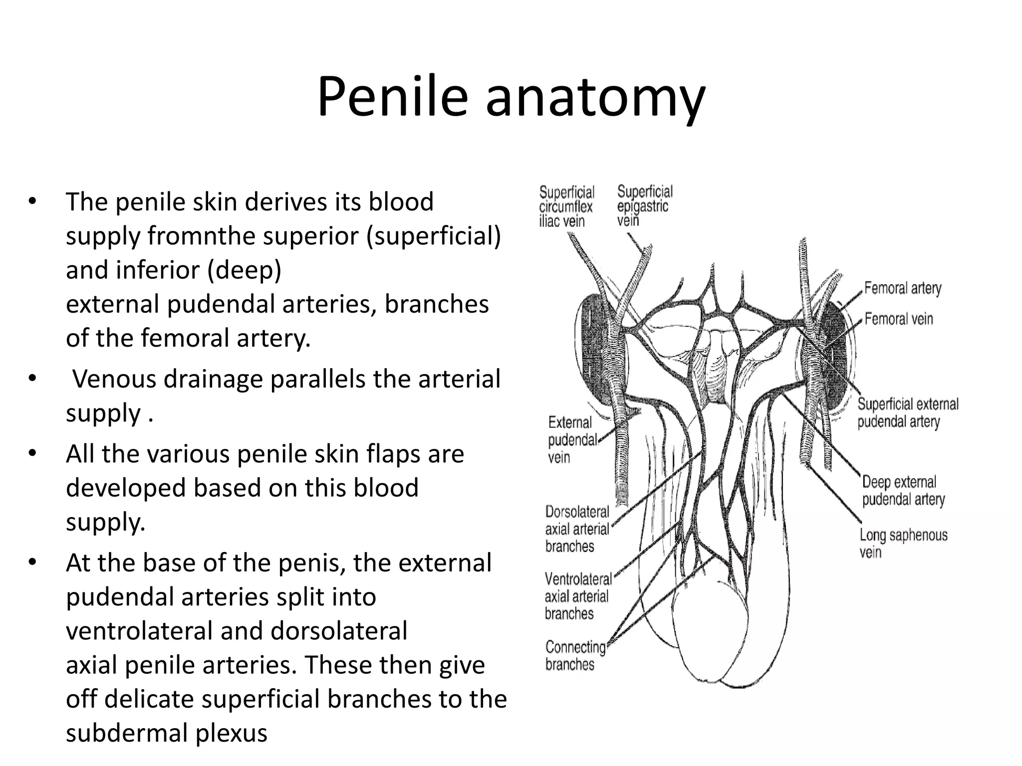 Surgical management of urethral stricture | PPTX