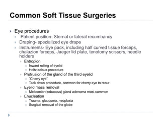 Surgical nursing review common surgical procedures review | PPTX