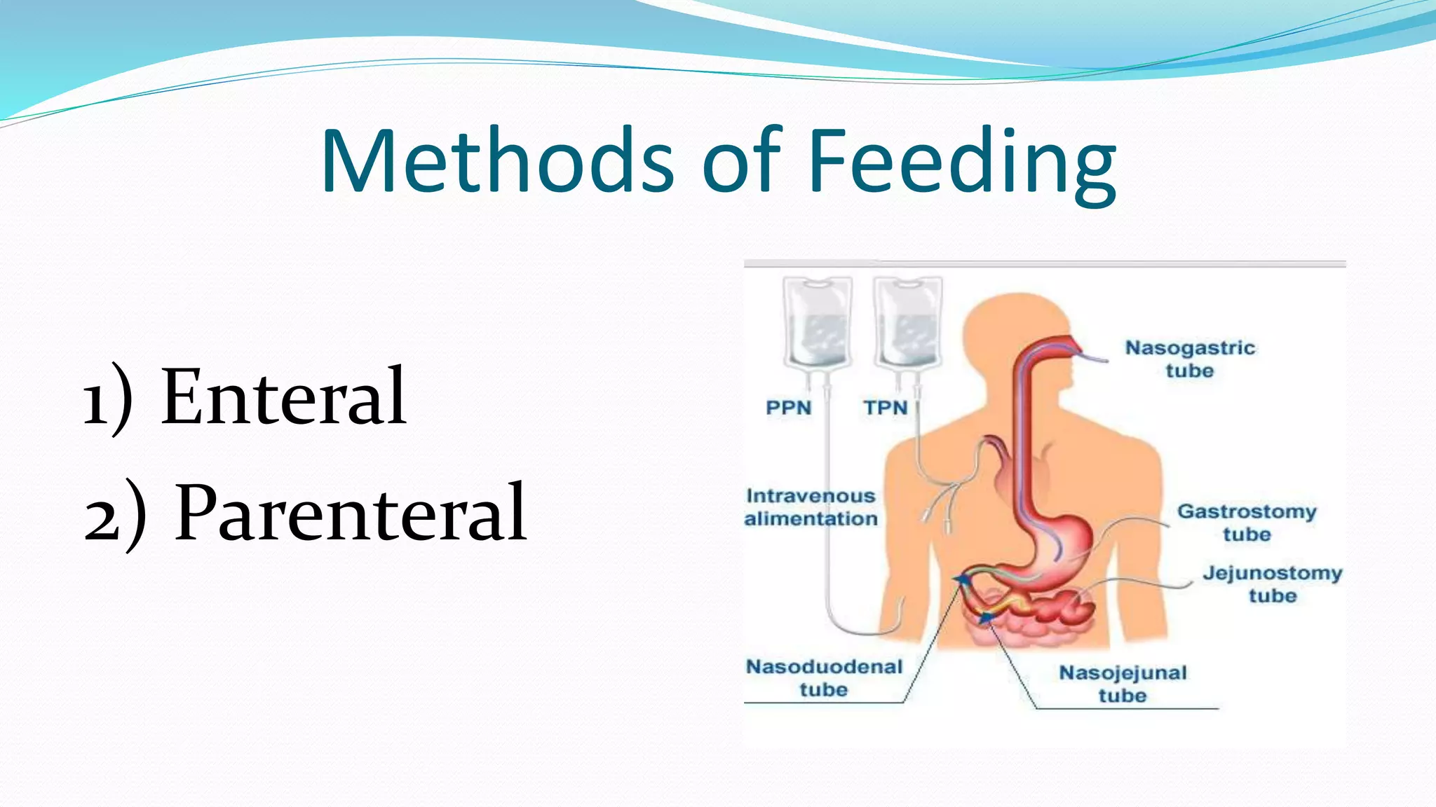 Surgical nutrition | PPTX