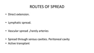 Surgical oncology BASICS.pdf