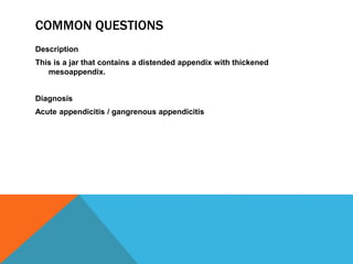 Surgical pathology (vermiform appendix) | PPTX | Digestive Disorders ...