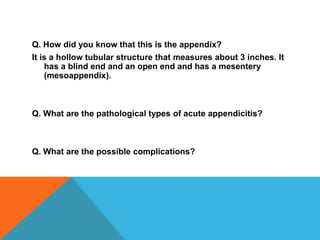 Surgical pathology (vermiform appendix) | PPTX | Digestive Disorders ...